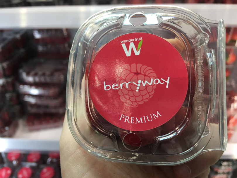 Berryway, Carlo Lingua: «Scriveremo una pagina nella storia...